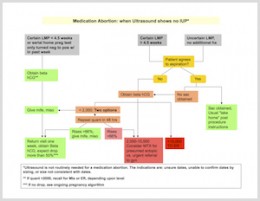 Reproductive Health Access Project | Algorithm For Clinical Management ...