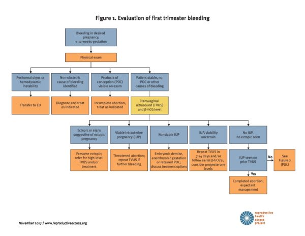 Reproductive Health Access Project | First Trimester Bleeding Algorithm ...