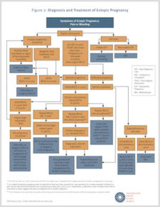 Reproductive Health Access Project | Algorithm to Diagnose and Treat ...