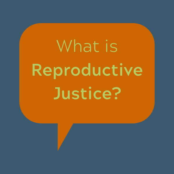 Reproductive Health Access Project | Exploring Reproductive Justice ...